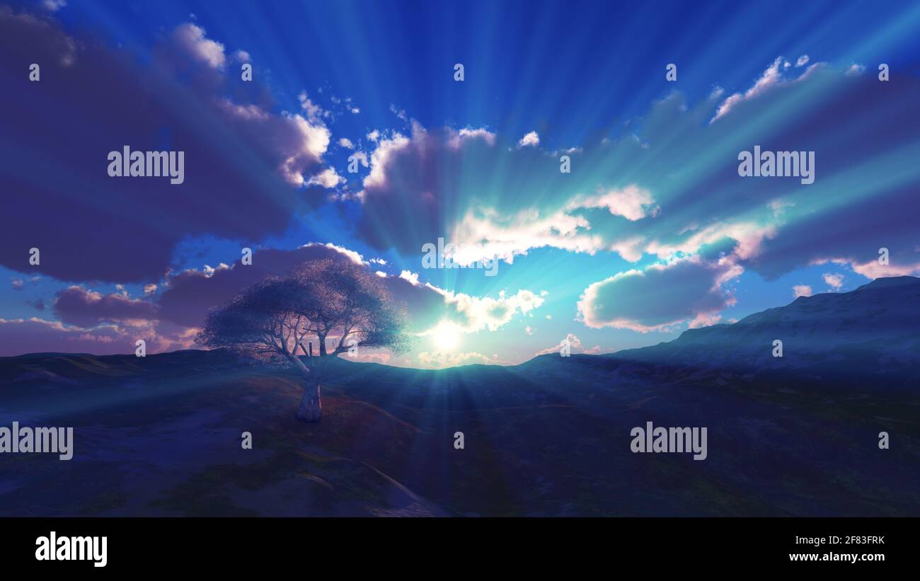 sunset at meadow and lonely tree, 3d render illustration Stock Photo ...