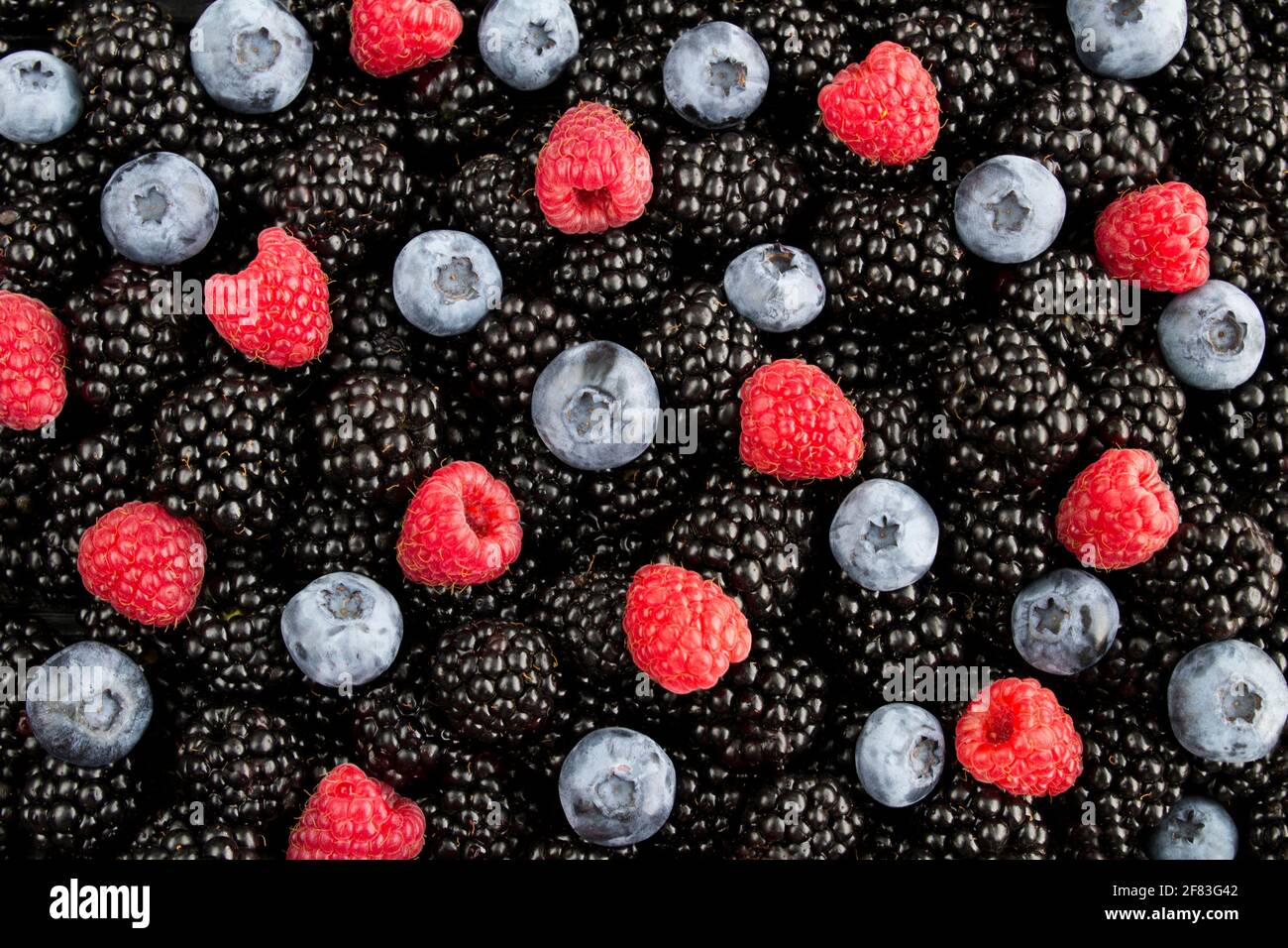 Fruit background. Closeup on blackberries, blueberries and raspberries ...