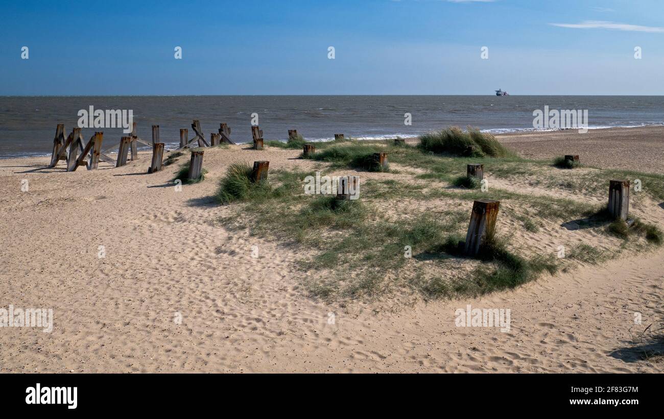 The Golden Sands of Great Yarmouth's Beach & Marram Grass among the ...