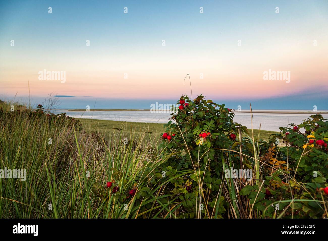 Beautiful Sunset on Cape Cod Beaches Stock Photo - Alamy