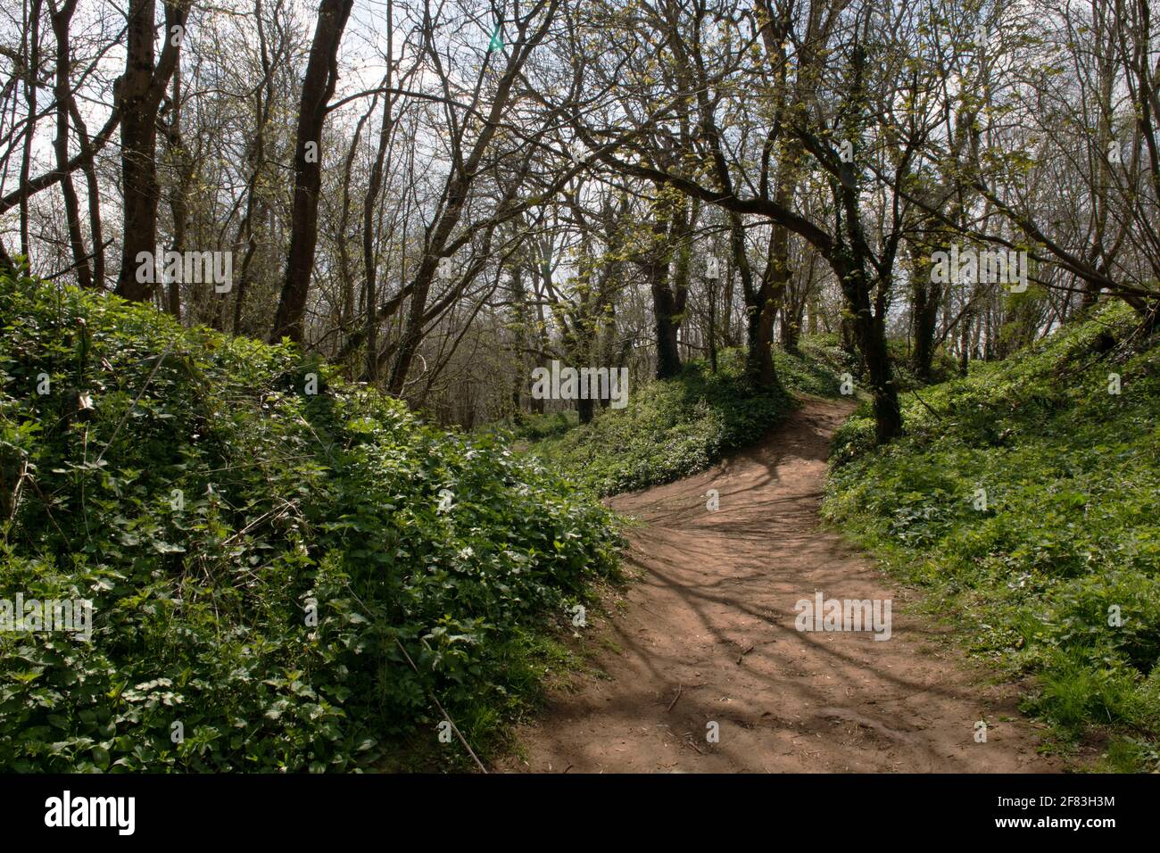 Footpath on Ham Hill, Somerset Stock Photo - Alamy