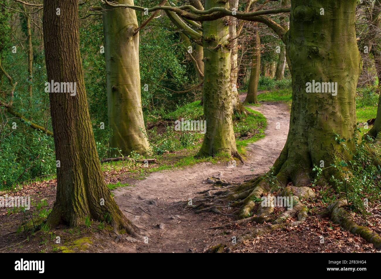 Jordanthorpe hi-res stock photography and images - Alamy