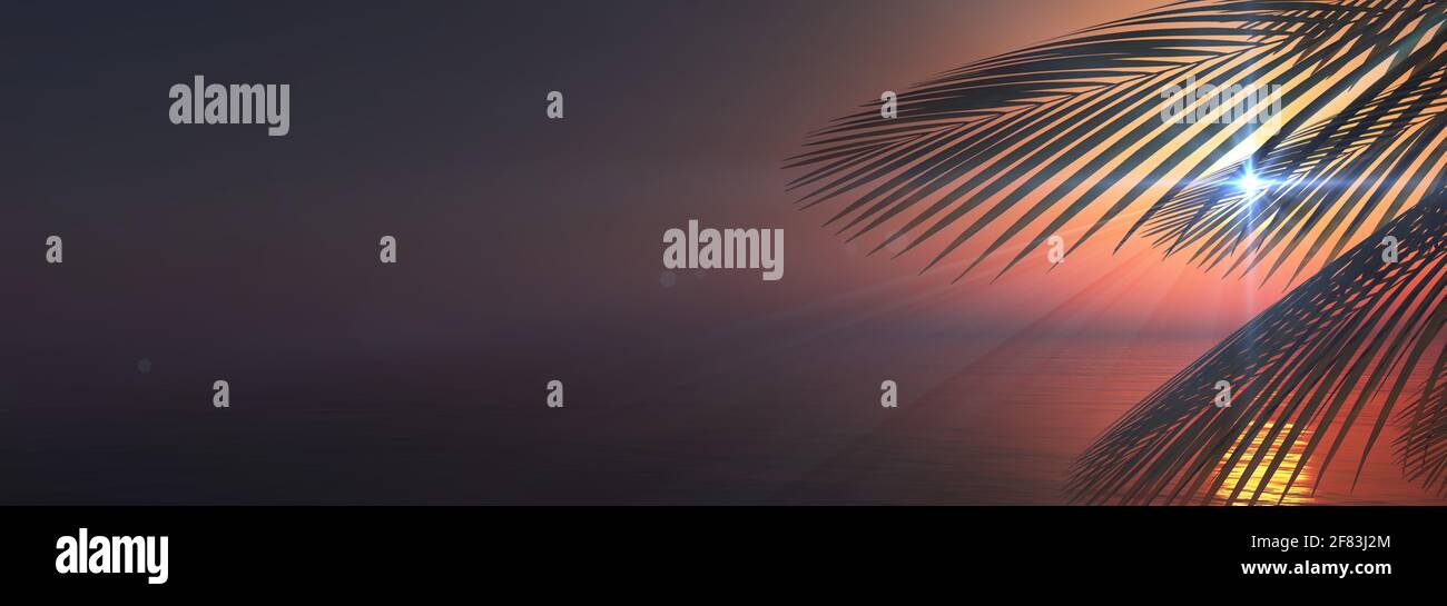 sunset sea palm landscape illustration, 3d render Stock Photo - Alamy