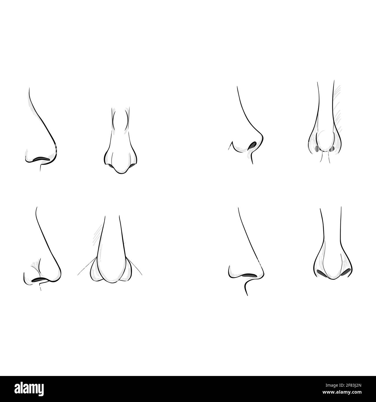 Top 132 + Different types of cartoon noses - Delhiteluguacademy.com