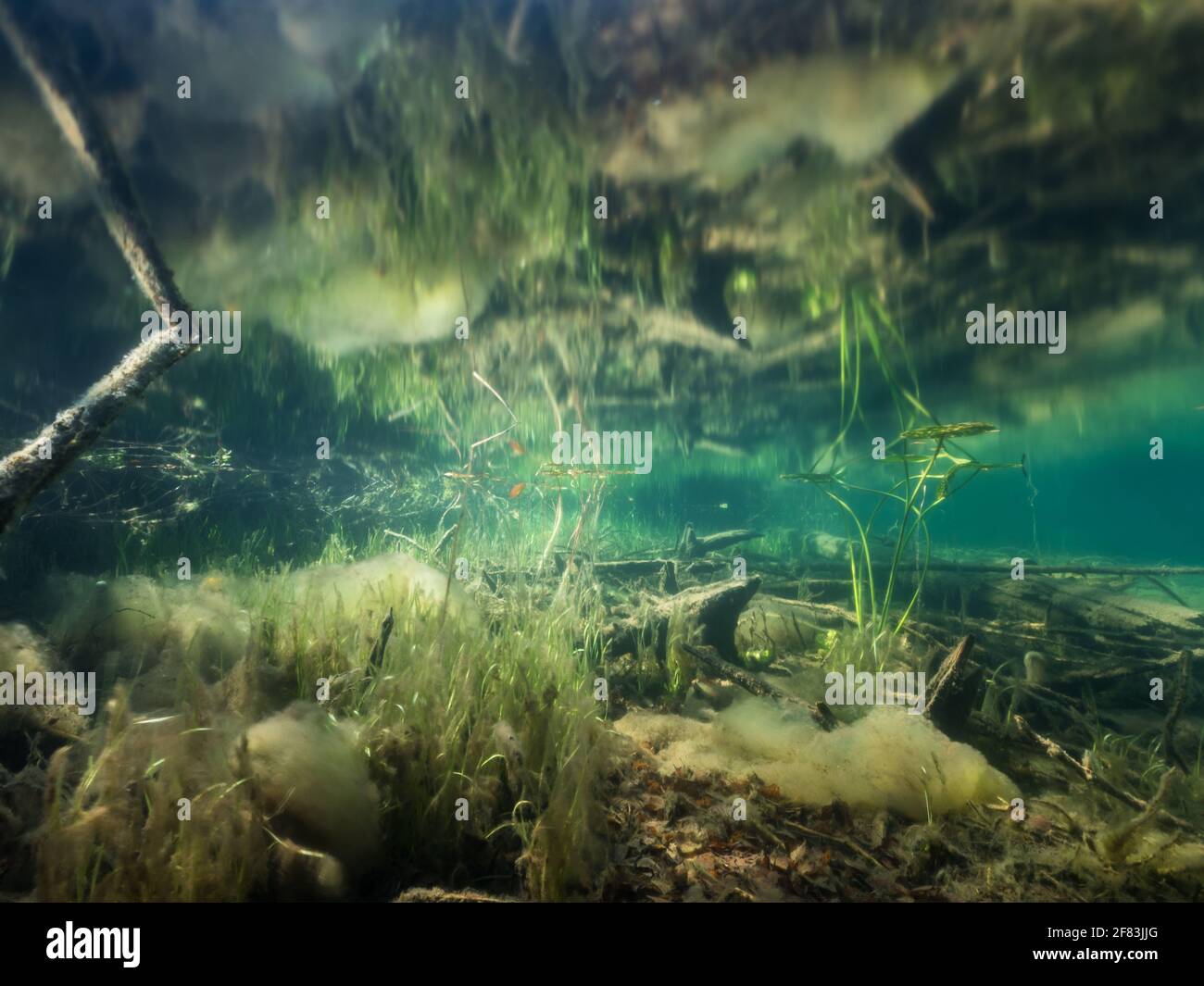 Underwater scenery of lake bottom reflecting from calm water surface ...