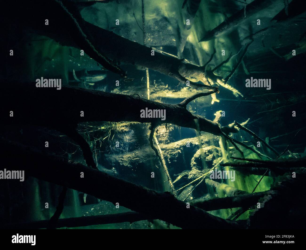 Natural pool underwater hi-res stock photography and images - Alamy