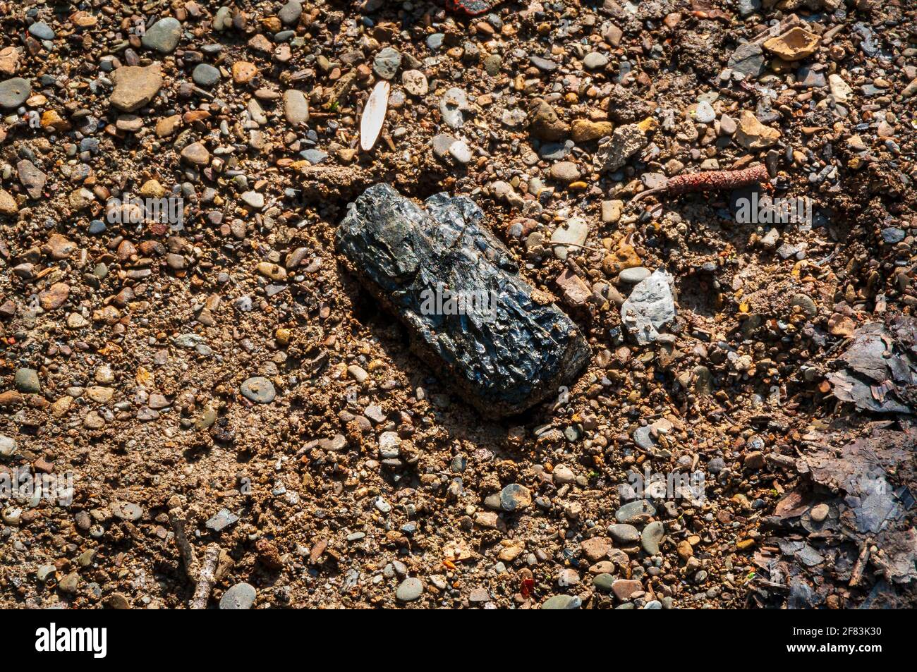 Lump of moss hi-res stock photography and images - Alamy