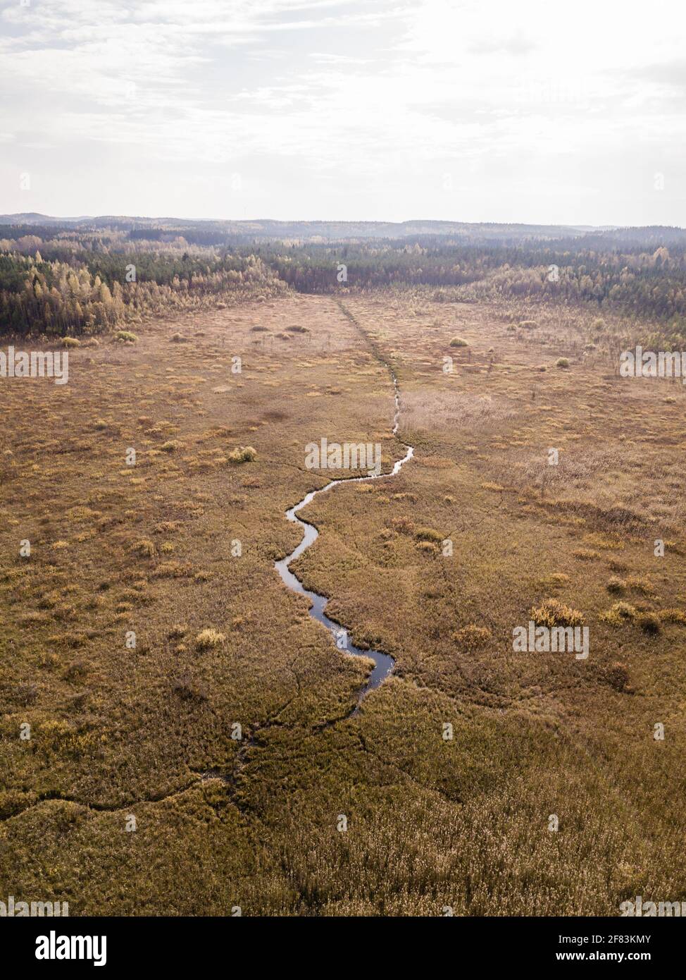 Small river running trough flood meadow Stock Photo - Alamy