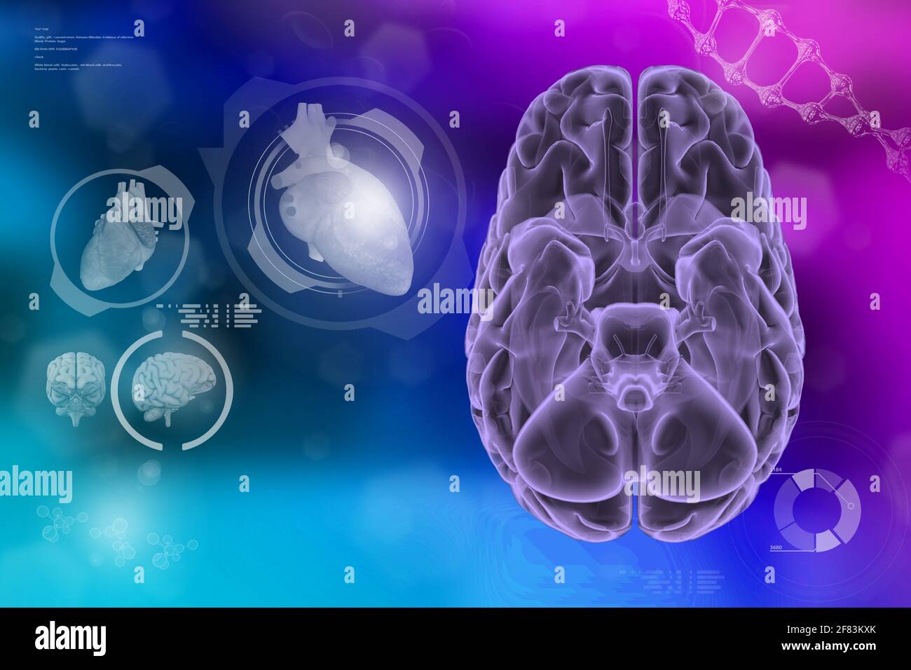 Brain Illustration Texture