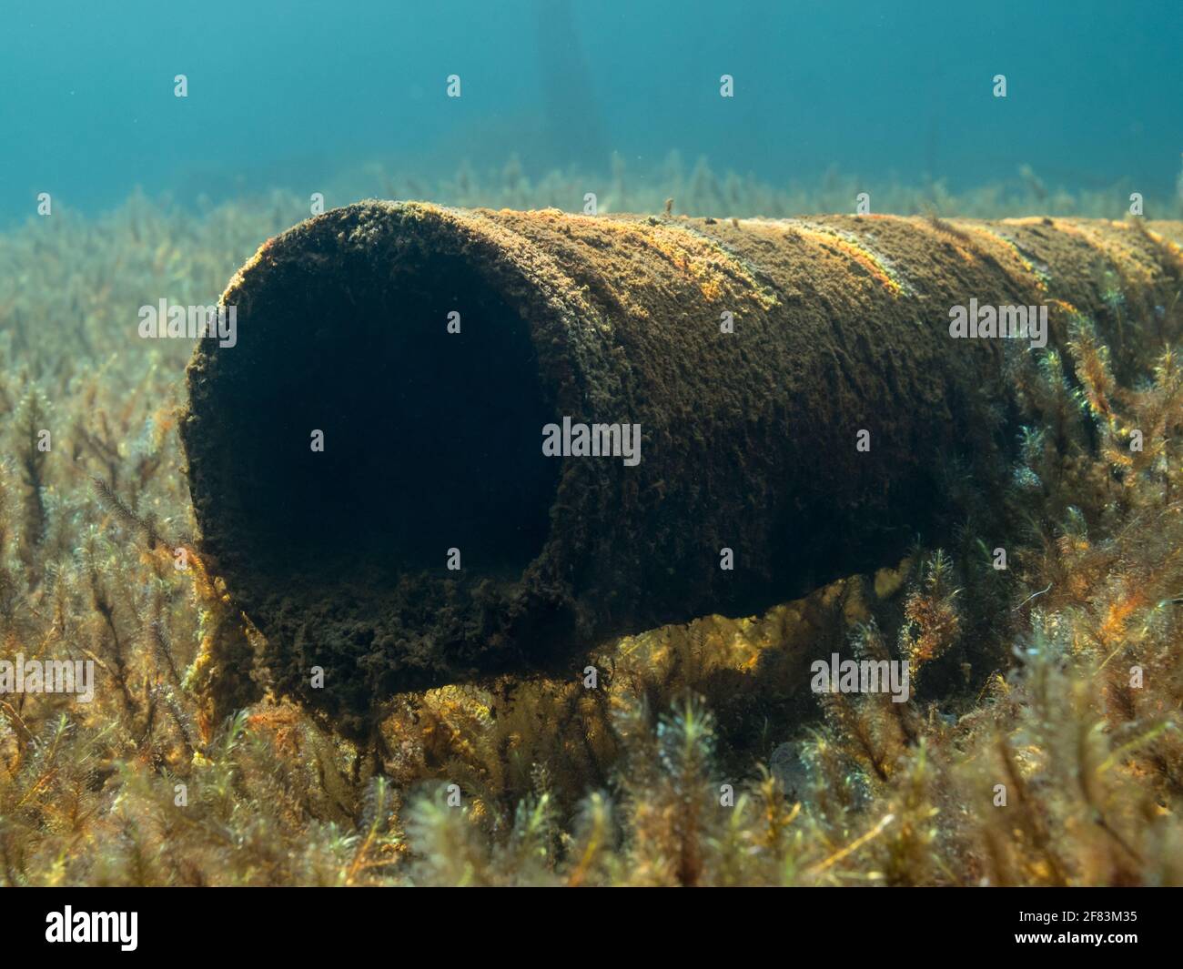 Rusty industrial pipe underwater at old quarry Stock Photo - Alamy