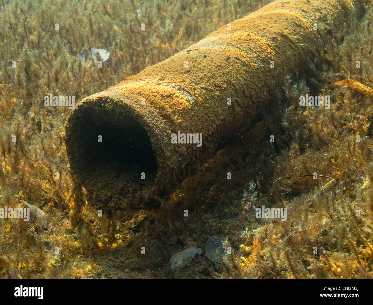 Rusty industrial pipe underwater at old quarry Stock Photo - Alamy