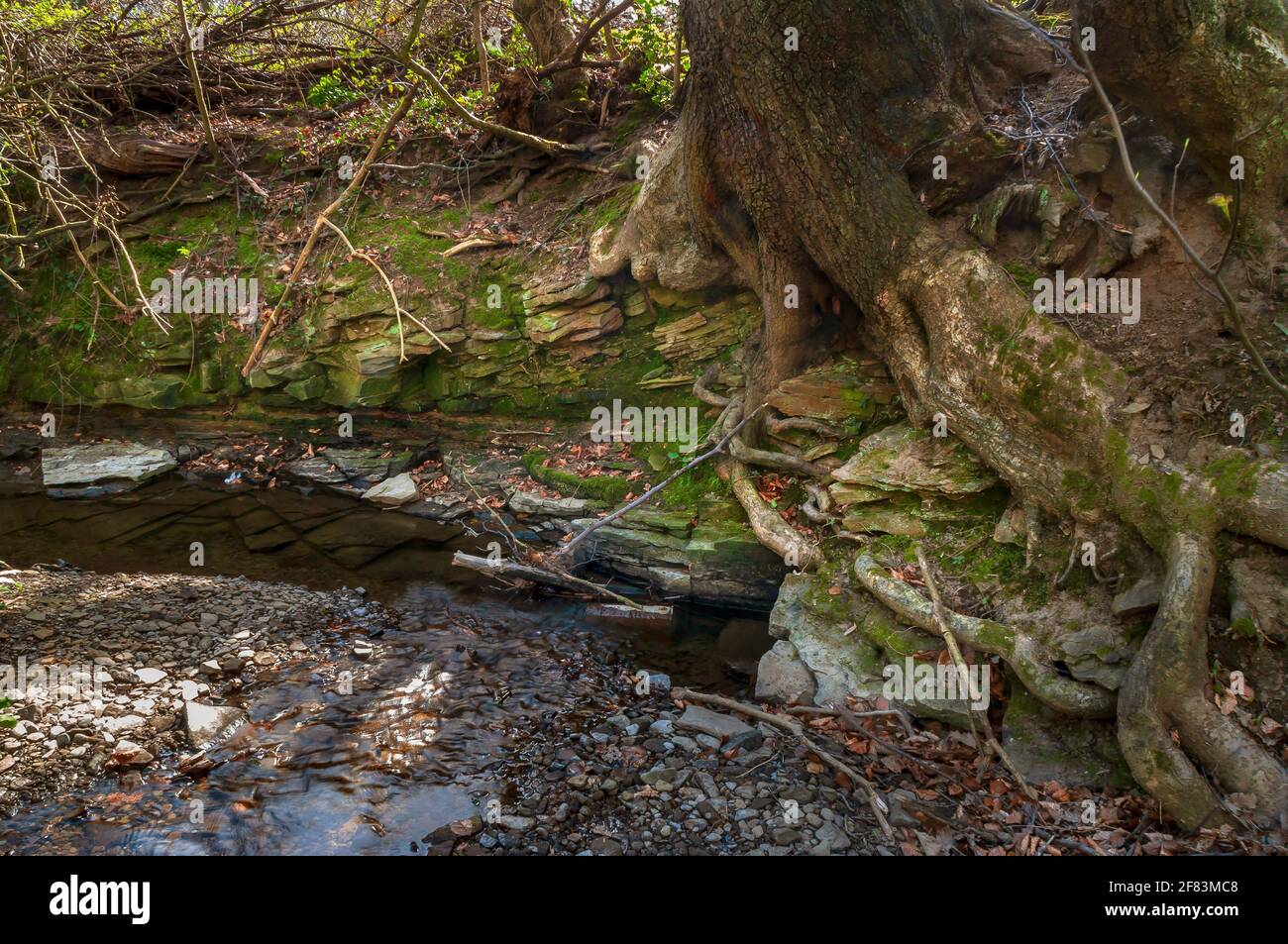 Jordanthorpe hi-res stock photography and images - Alamy