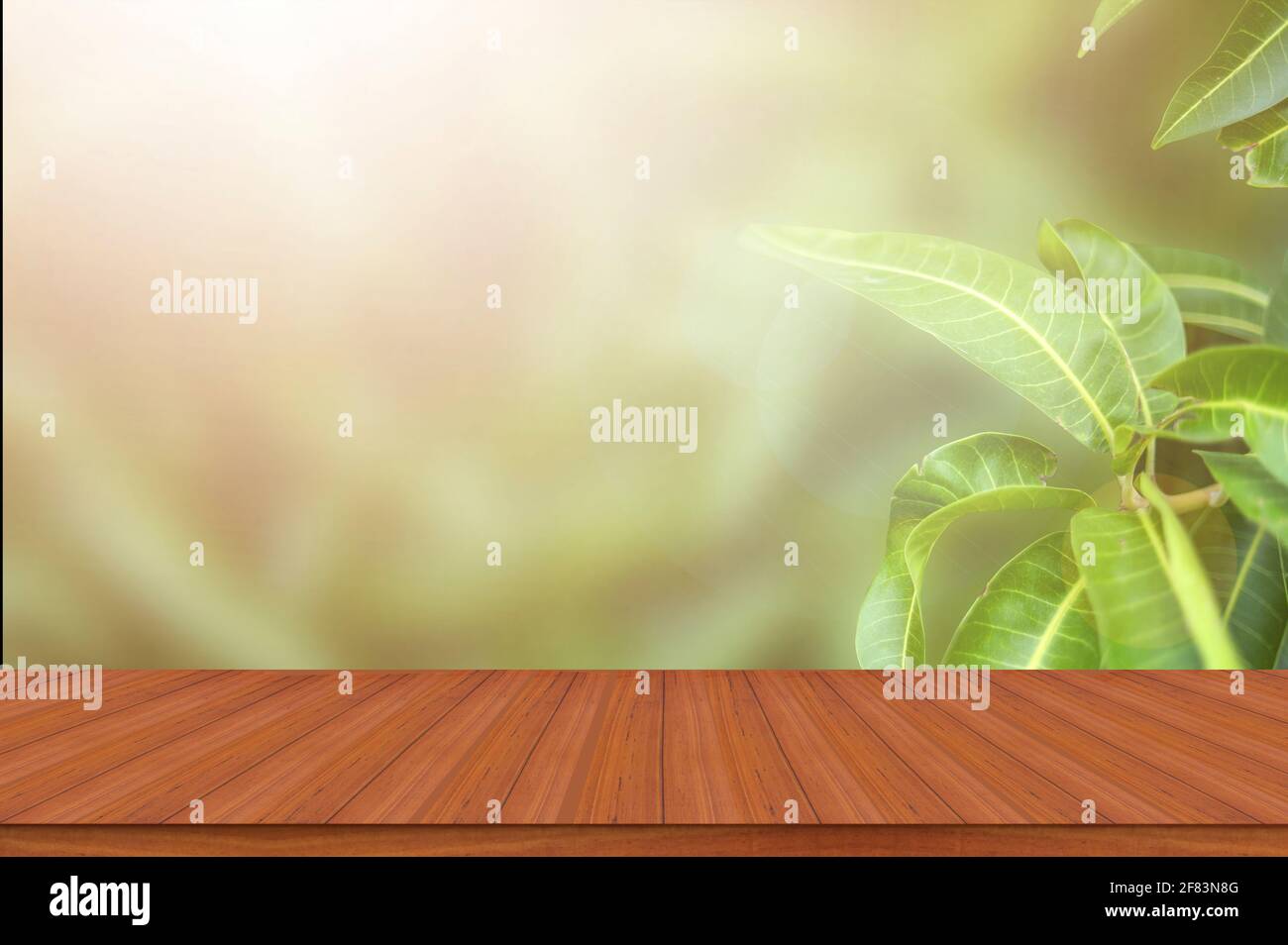 Natural mango leaf with wooden table backgrounds Stock Photo - Alamy