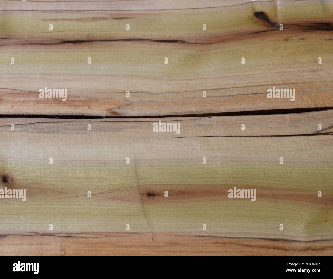 Small Slabs of Rainbow Poplar Stock Photo - Alamy