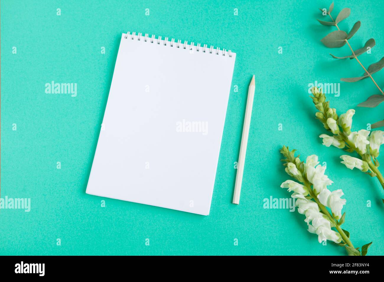 Top view of blank sheet of notebook and white pencil and white flowers ...