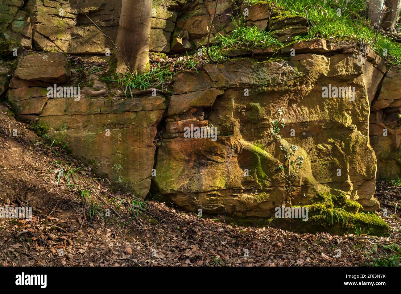Long grass quarry hi-res stock photography and images - Alamy