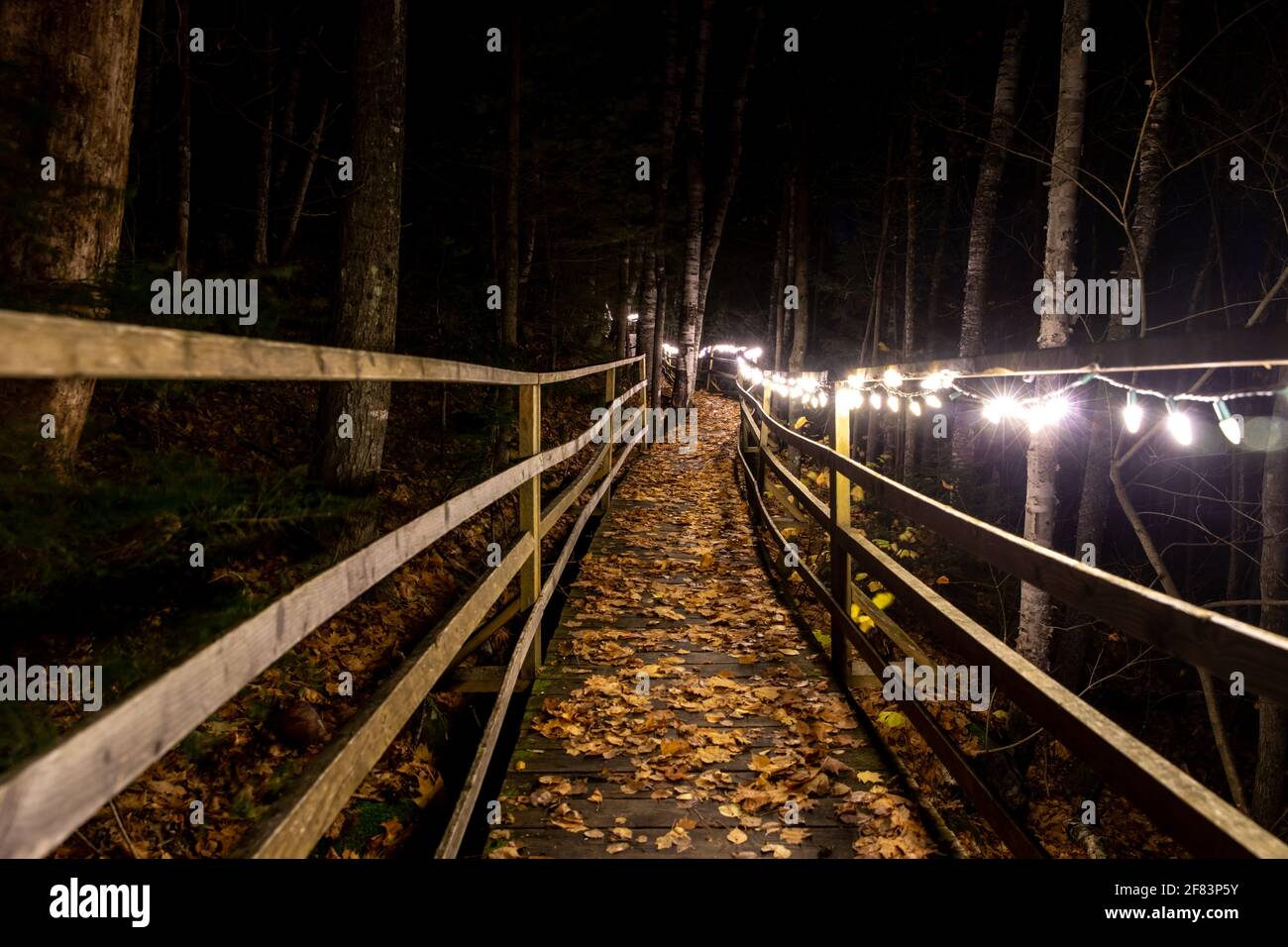 Light on a fence at night hi-res stock photography and images - Alamy