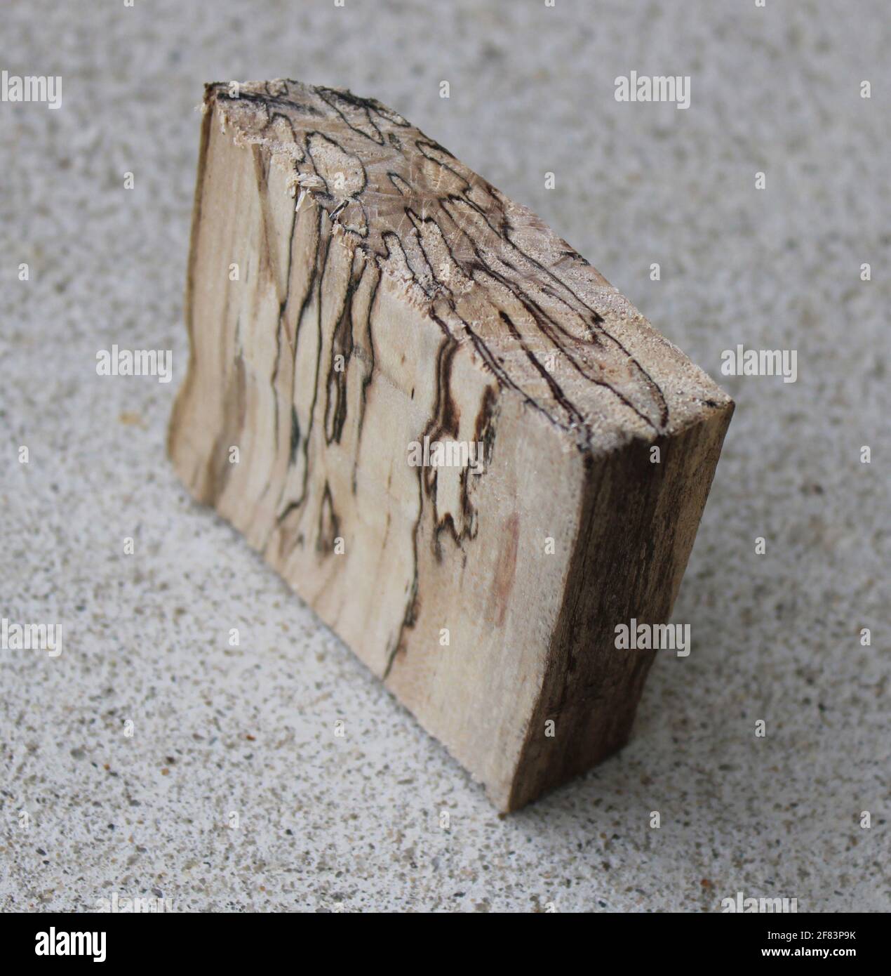 Small Piece of Spalted Maple Stock Photo - Alamy