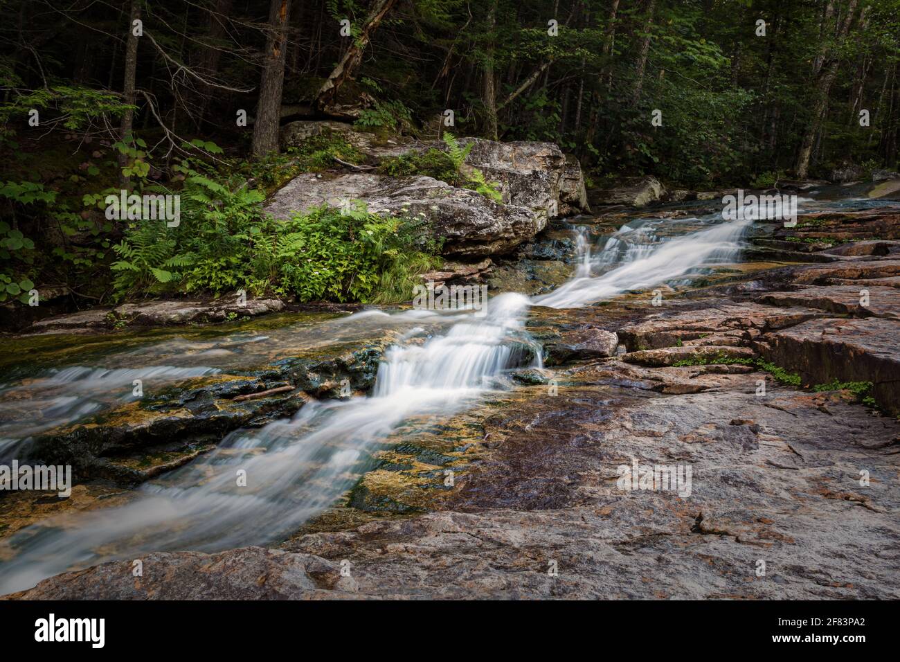 Lonesome lake trail hi-res stock photography and images - Alamy