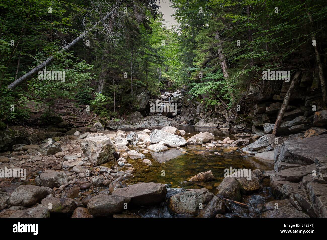 Trail to Lonesome Lake, White Mountains , New Hampshire Stock Photo - Alamy