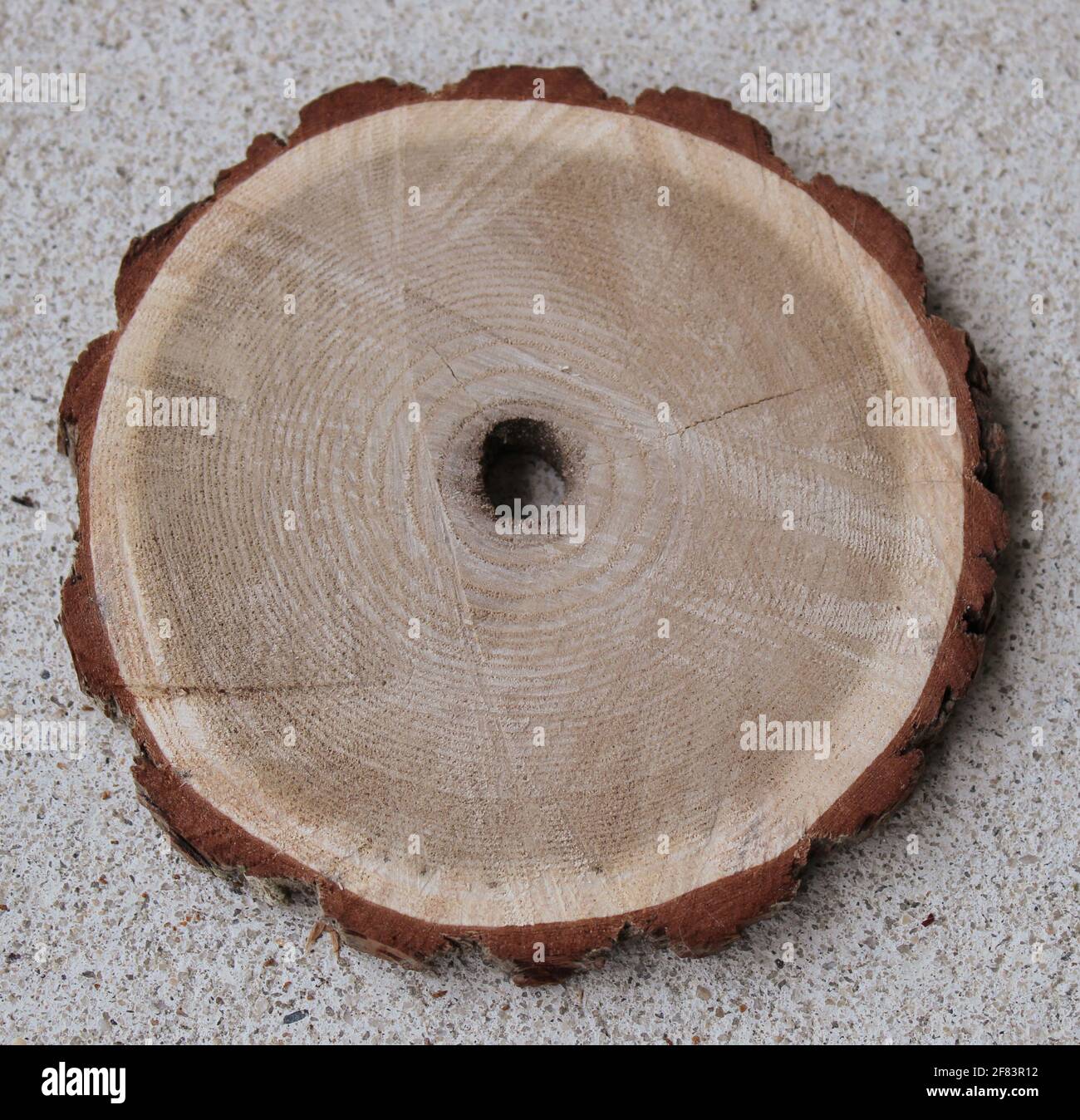 Sassafras wood sample hi-res stock photography and images - Alamy