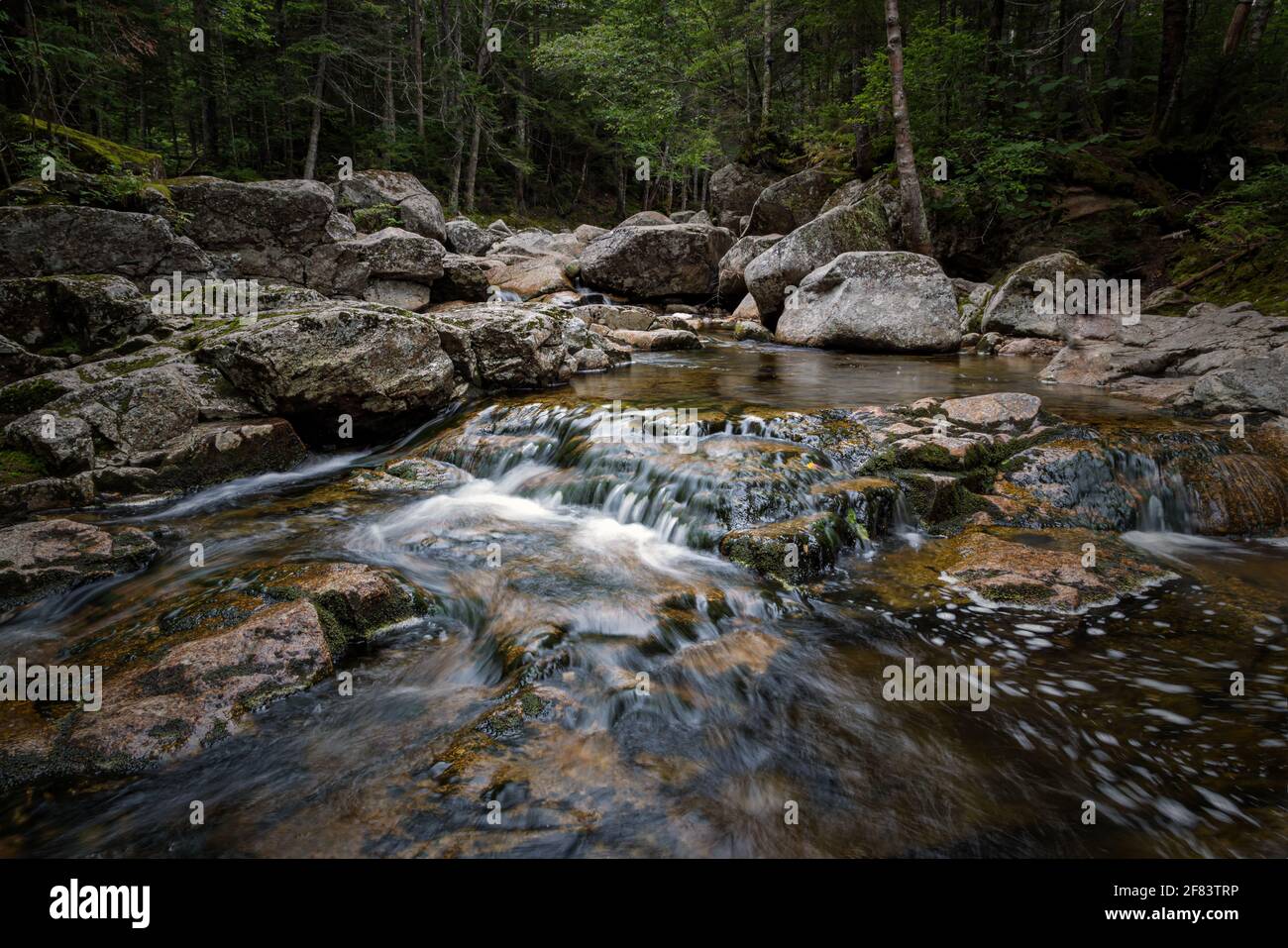 Trail to Lonesome Lake, White Mountains , New Hampshire Stock Photo - Alamy