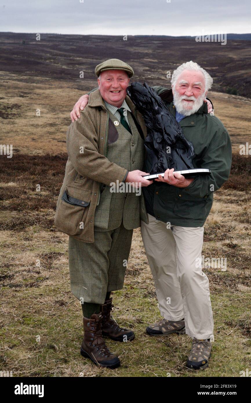 David darley hi-res stock photography and images - Alamy