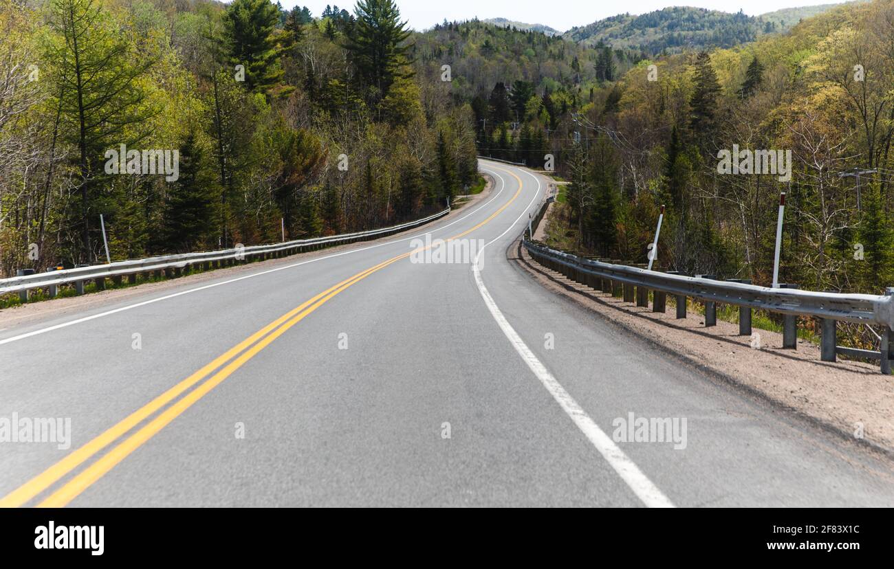 small one lane. road in summer in the countryside with a curve at the ...