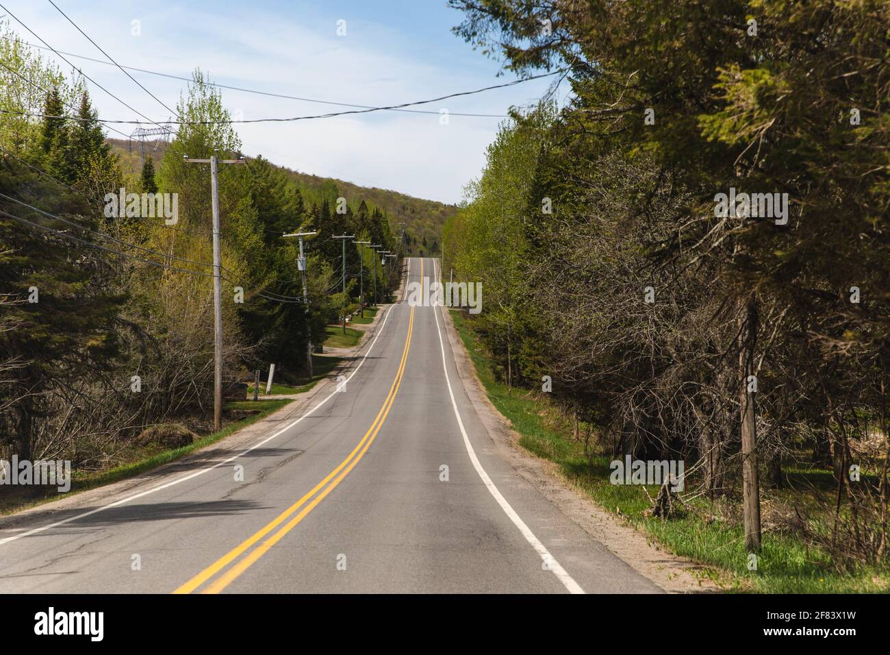Country road goes in forest hi-res stock photography and images - Alamy