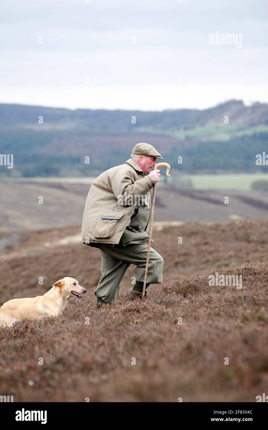 David darley hi-res stock photography and images - Alamy