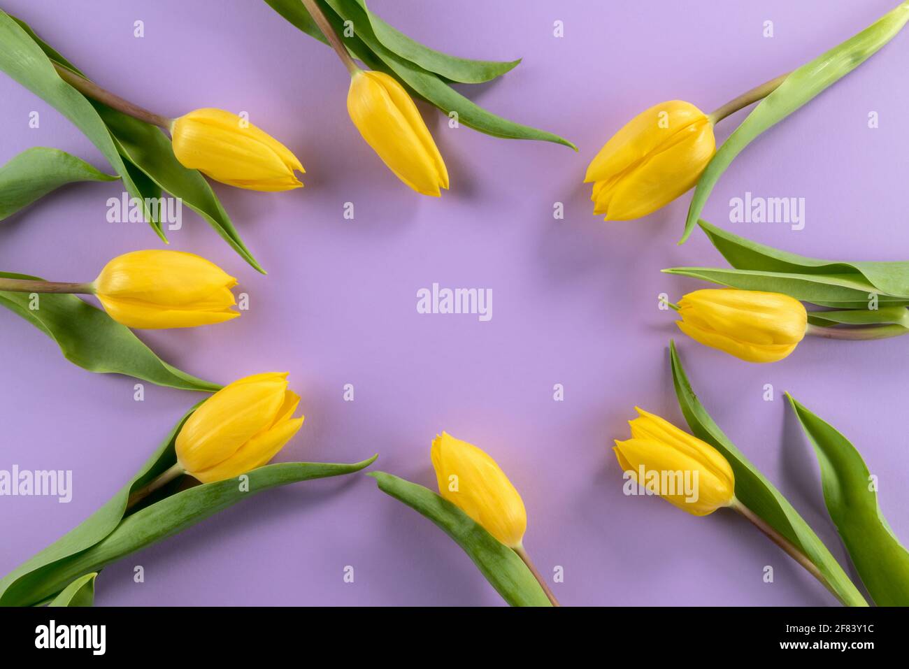 Floral border yellow hi-res stock photography and images - Alamy