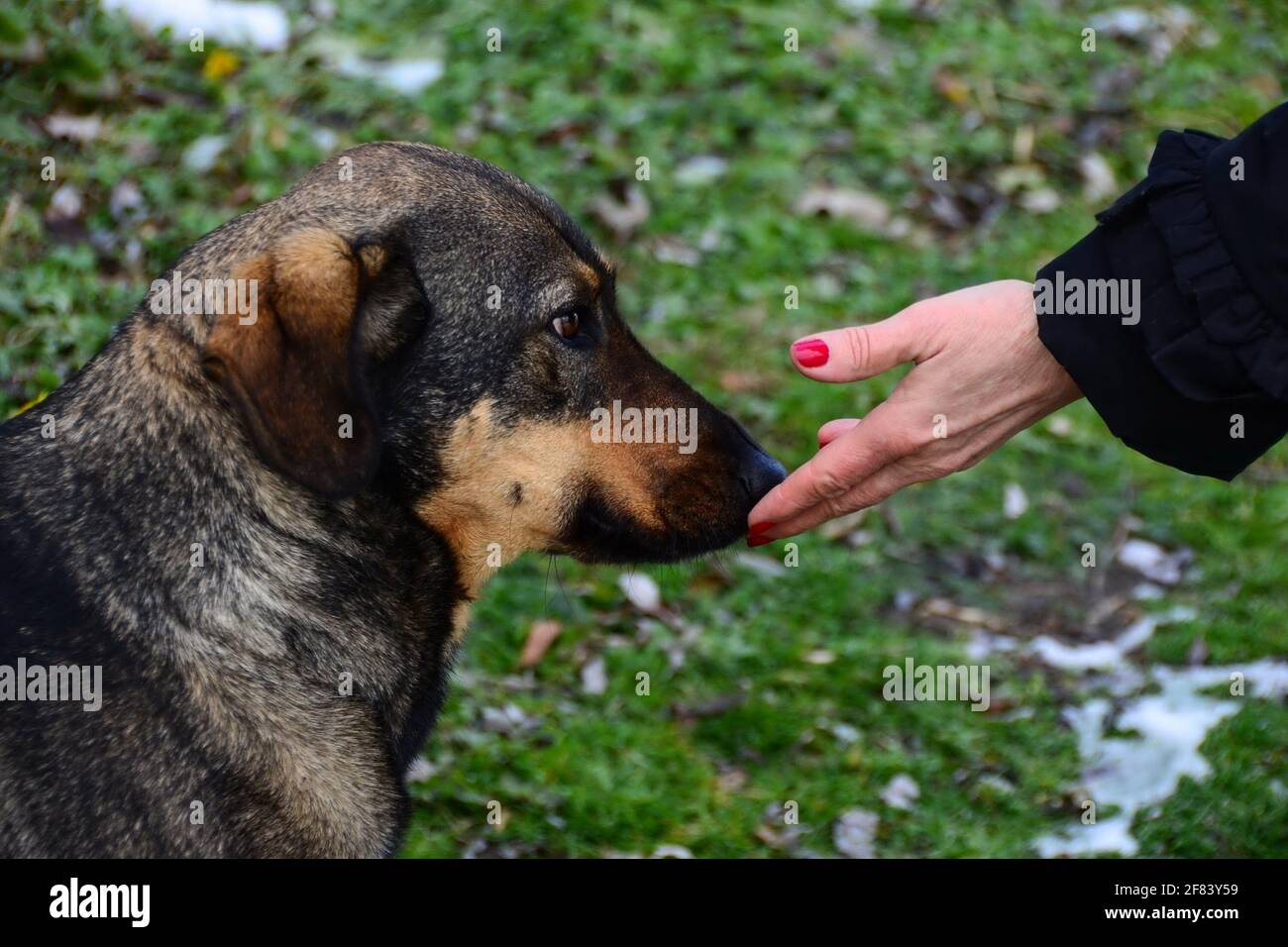 Helping friend ground hi-res stock photography and images - Alamy