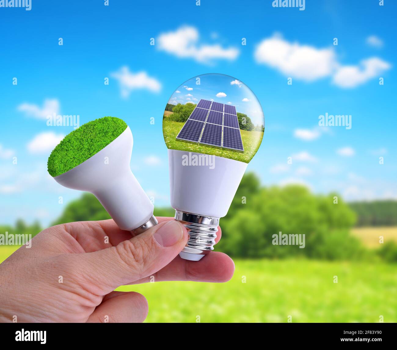 Hand holding eco LED bulbs. The concept of sustainable resources Stock ...
