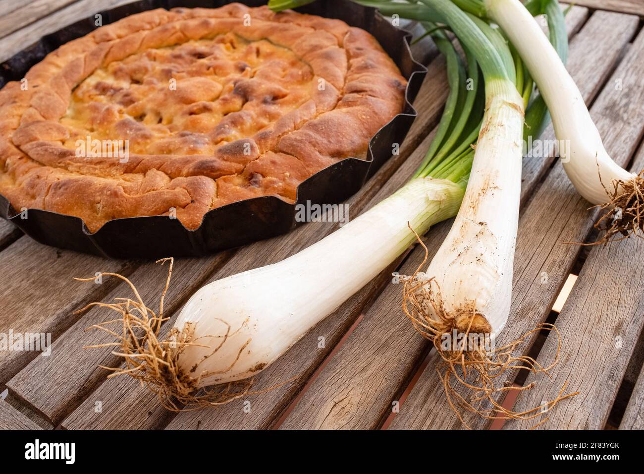 Pizza calzone filled with onion and tuna - Food of Puglia Stock Photo ...