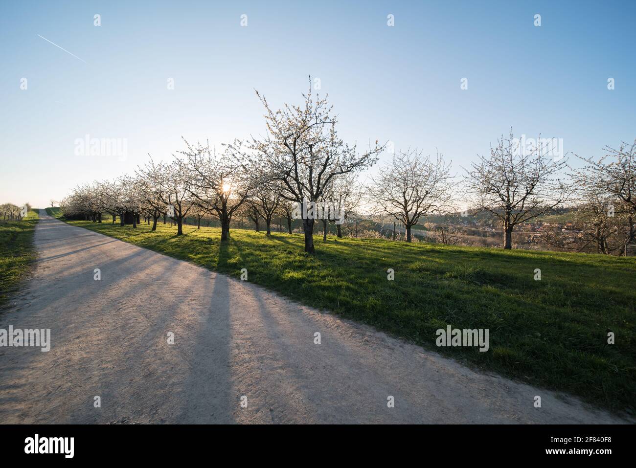 picturesque evening landscape in southern germany Stock Photo - Alamy