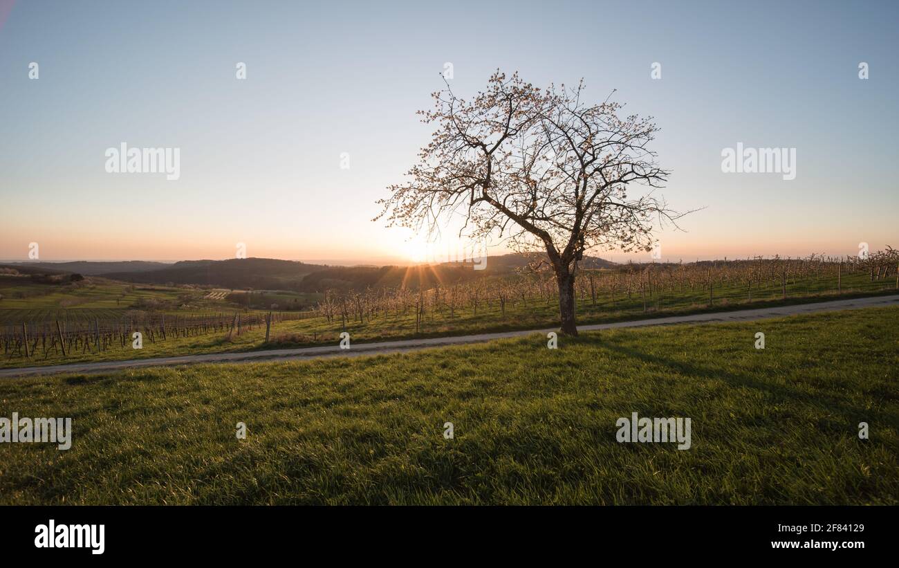 picturesque evening landscape in southern germany Stock Photo - Alamy