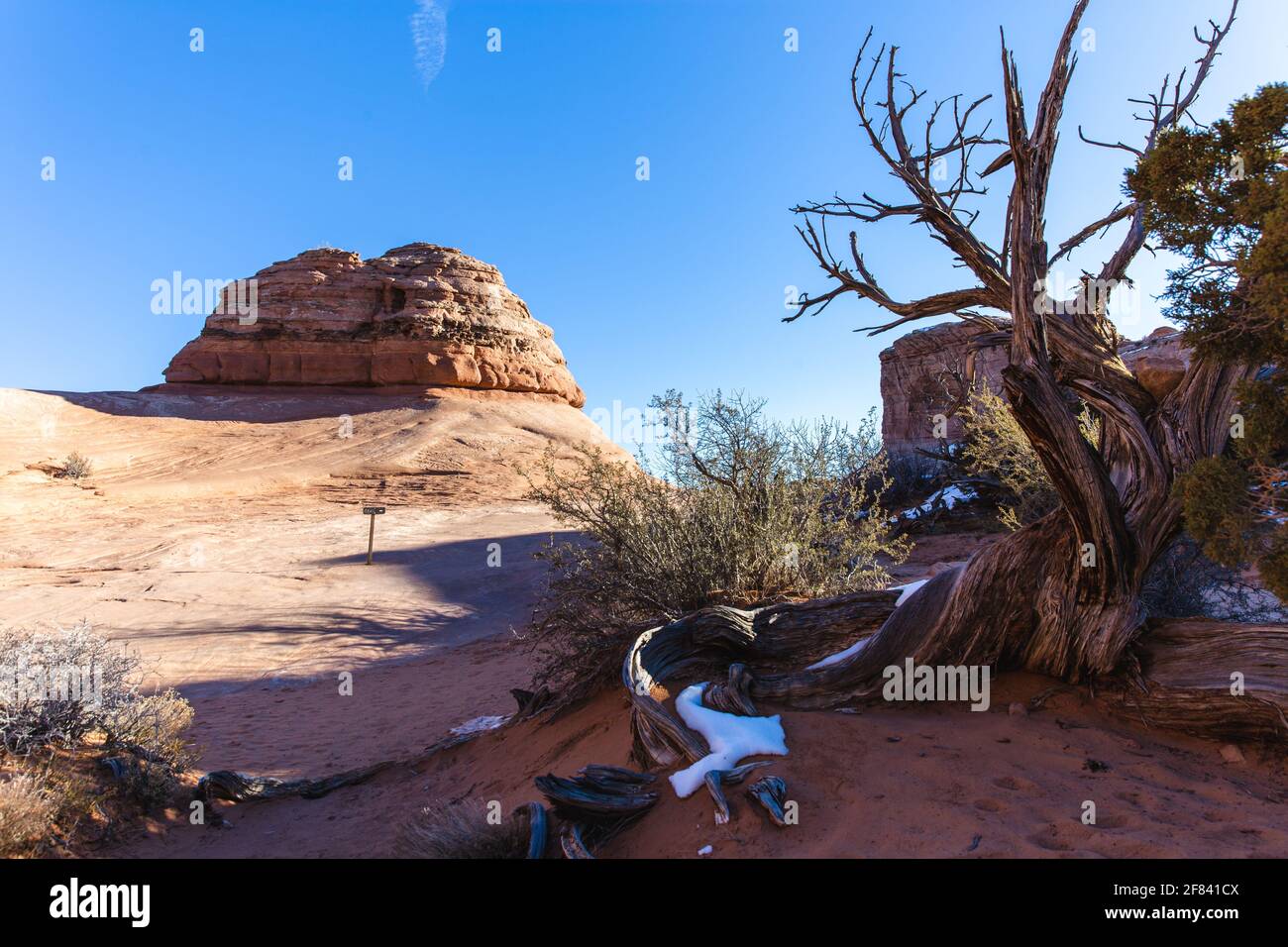 view of the trail in a dry climate with clear blue sky and a bit of ...