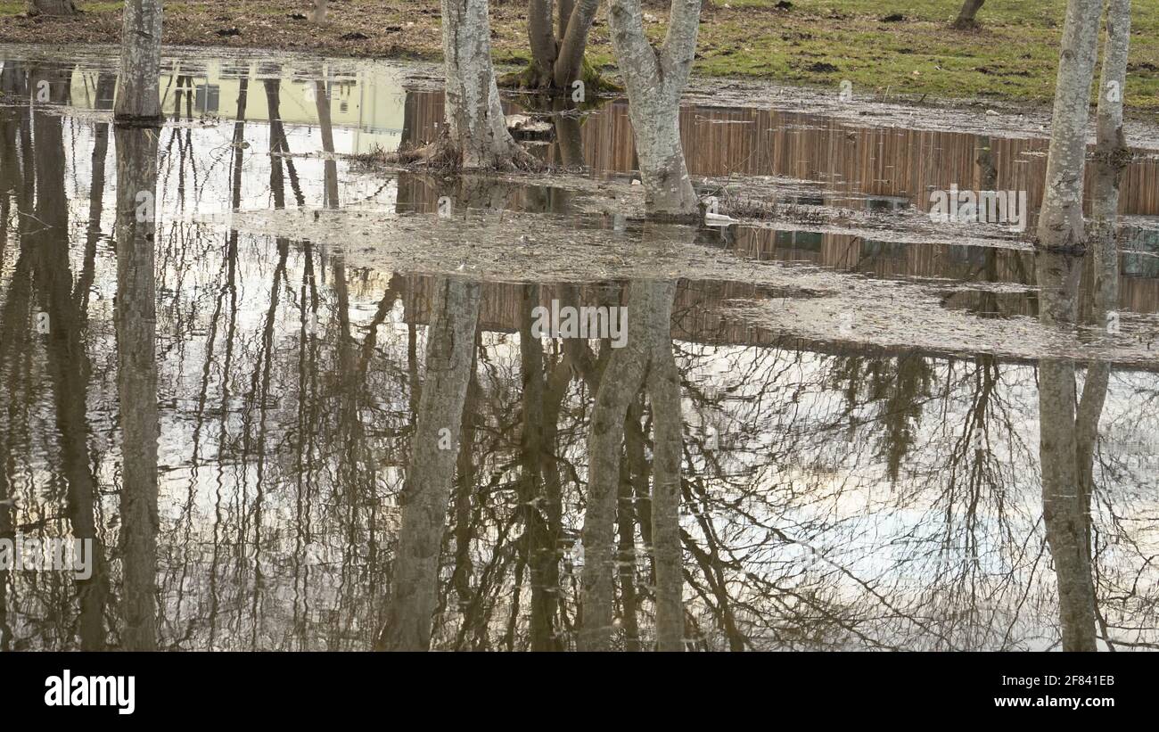 Landscape with flooded areas during spring floods in urban nature ...