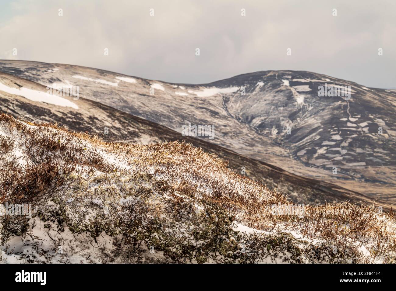 Angus Glens High Resolution Stock Photography and Images - Alamy