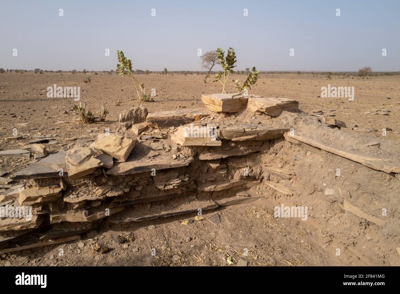 Kumbi ruins hi-res stock photography and images - Alamy