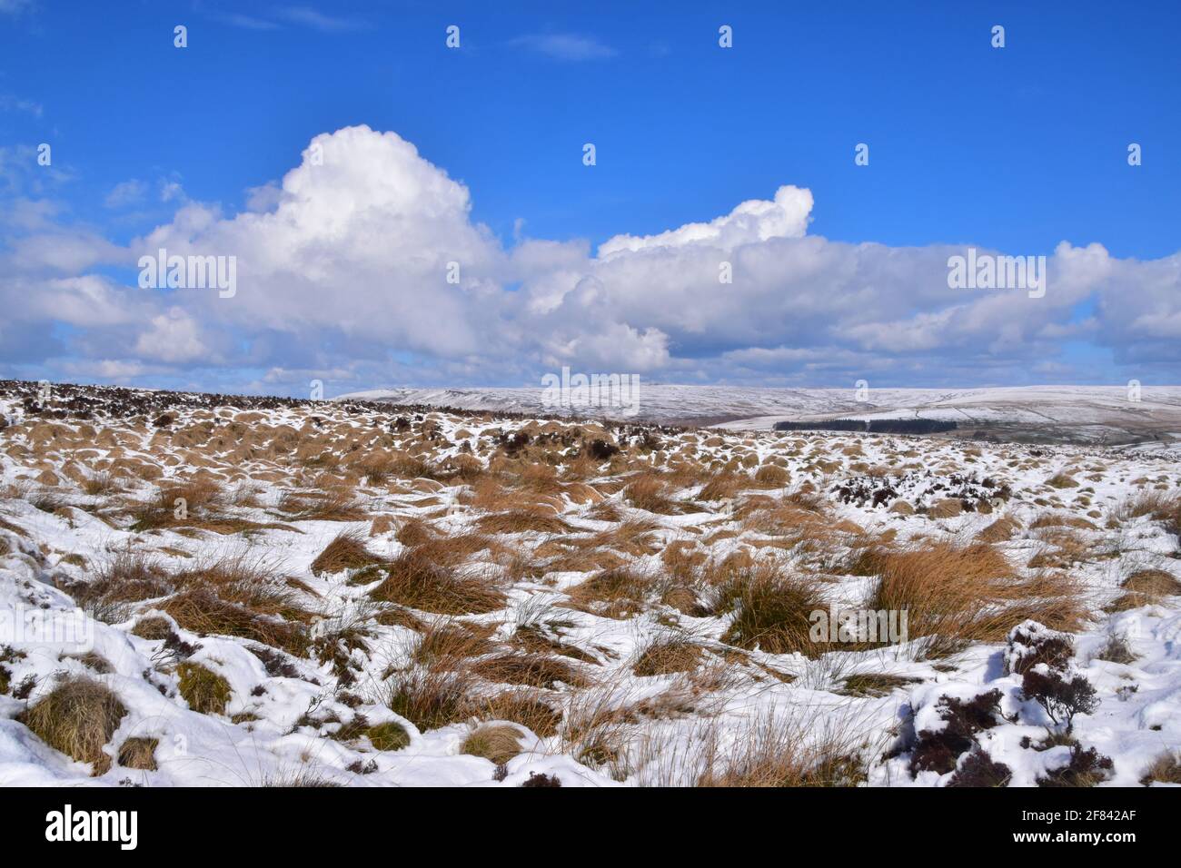 Pennine way yorkshire moor hi-res stock photography and images - Alamy