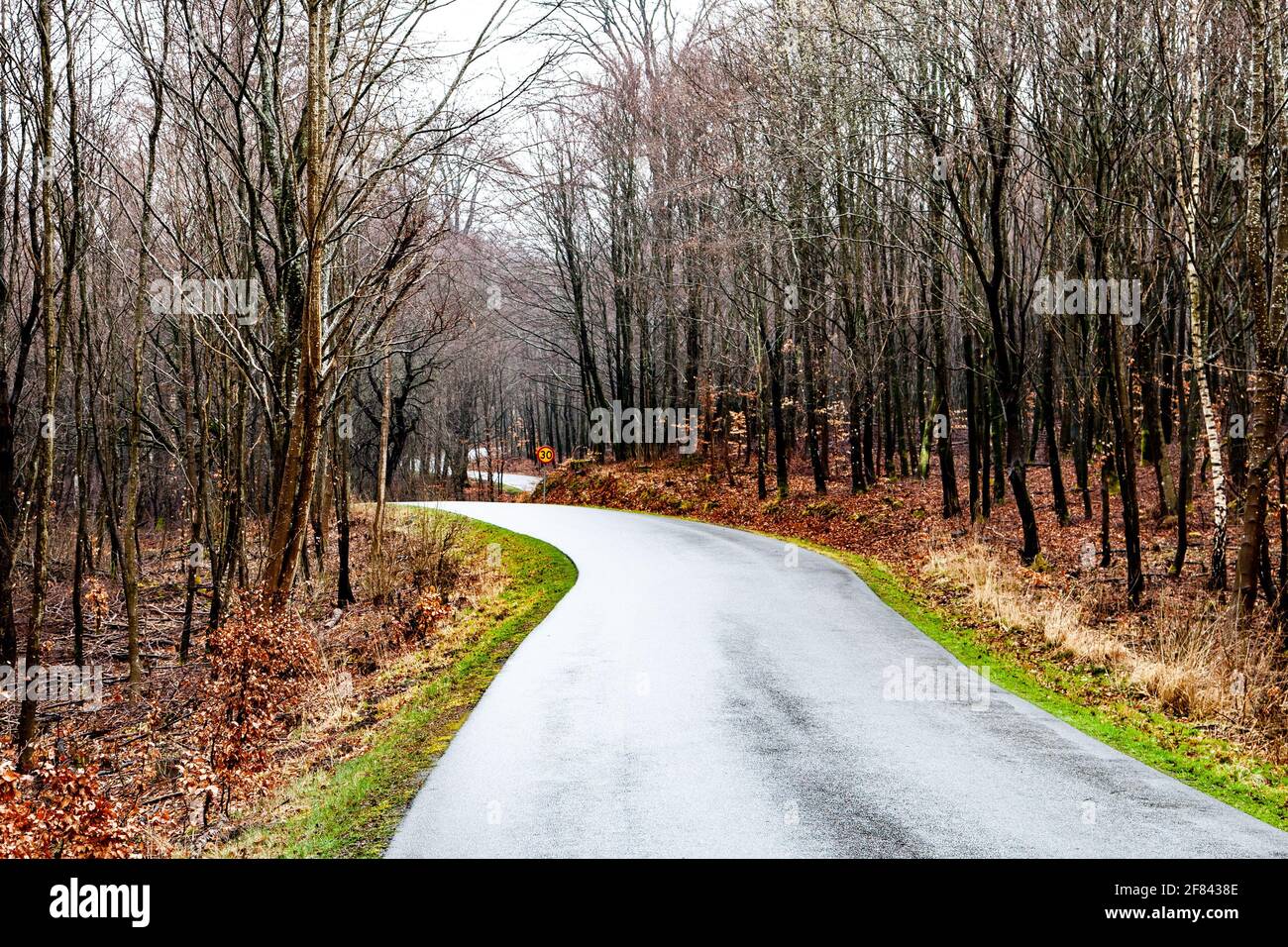 Forest in April Stock Photo - Alamy