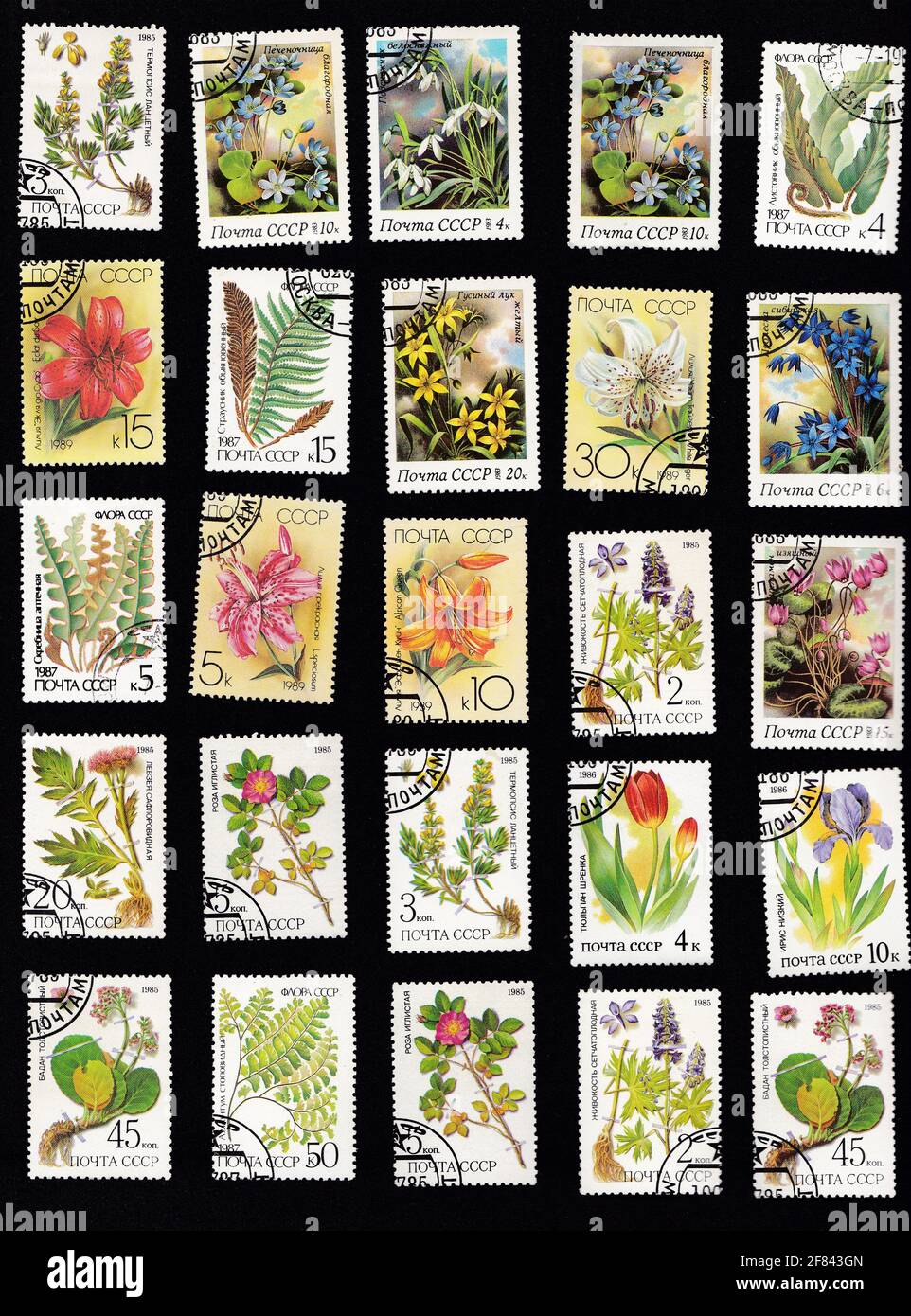 Paper vintage postage botany hi-res stock photography and images - Alamy