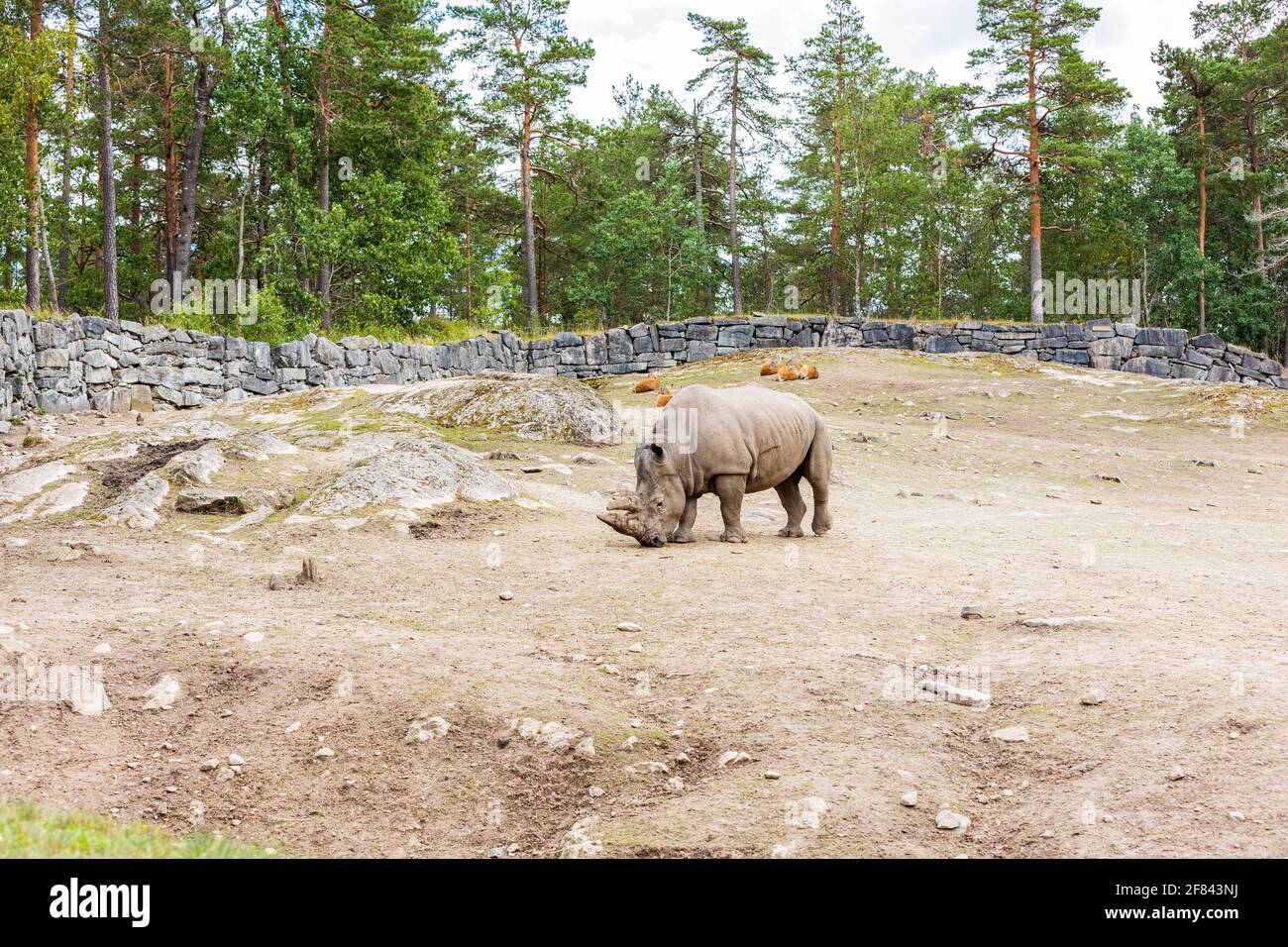 Zoo aviary hi-res stock photography and images - Alamy