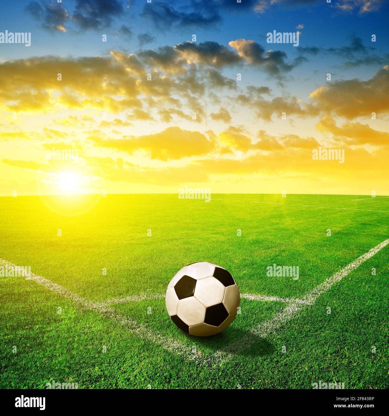 Soccer ball on green grass in the sunset Stock Photo - Alamy