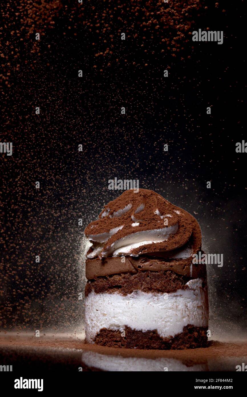 Side view of a fresh baked chocolate cake sprinkled with cocoa on ...