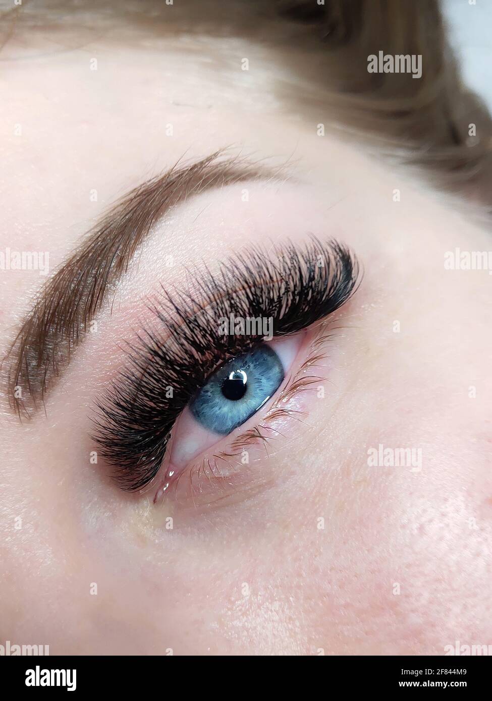 lash extension in beauty salon macro eye Stock Photo - Alamy
