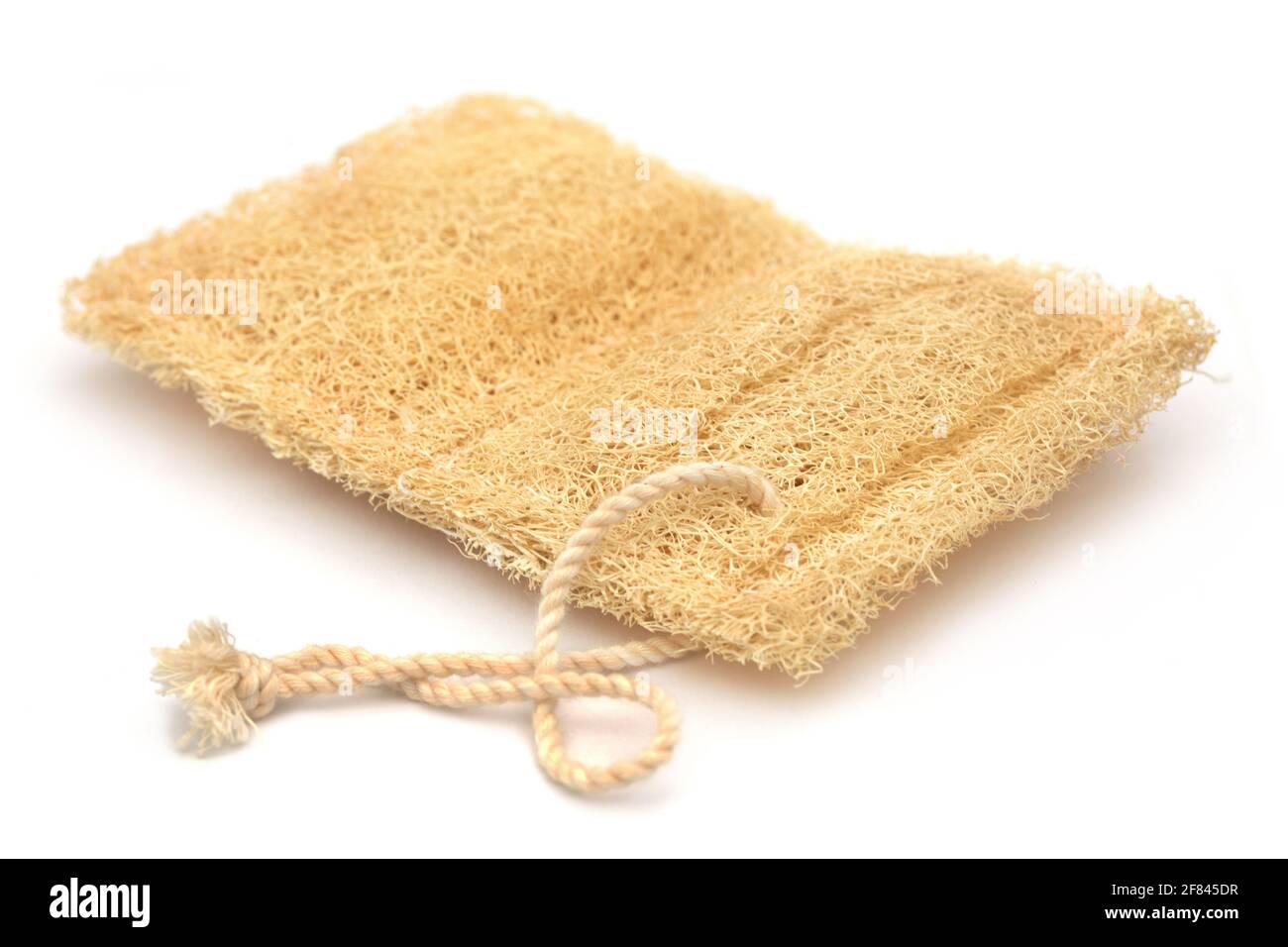 Natural scrubber of dried Ridge gourd Stock Photo - Alamy