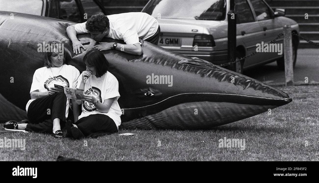 The RSPCA launch a new wave of activity to save the whalethe protest ...