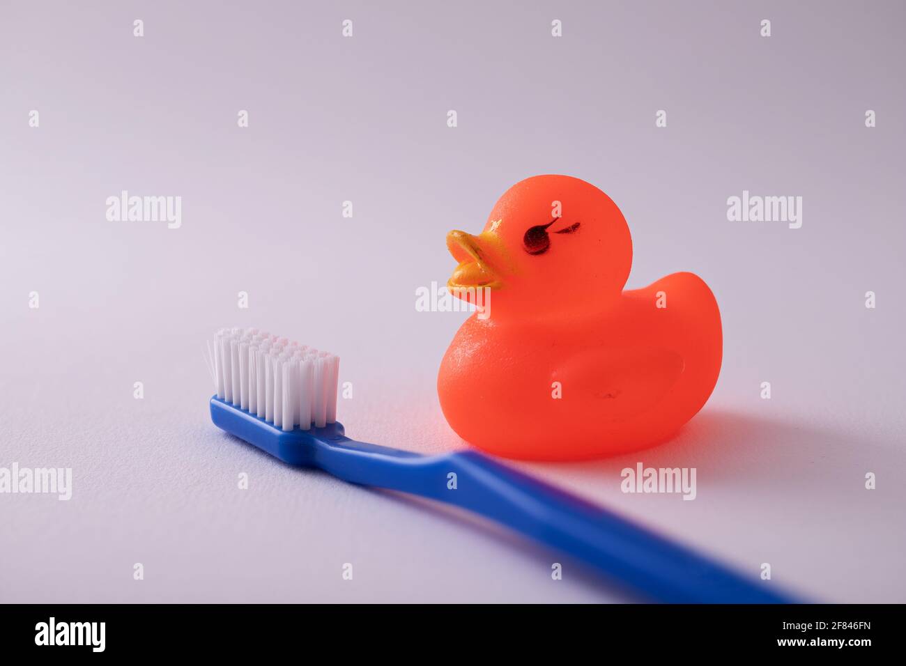 A shot of a toothbrush with duck toy isolated on white background Stock ...